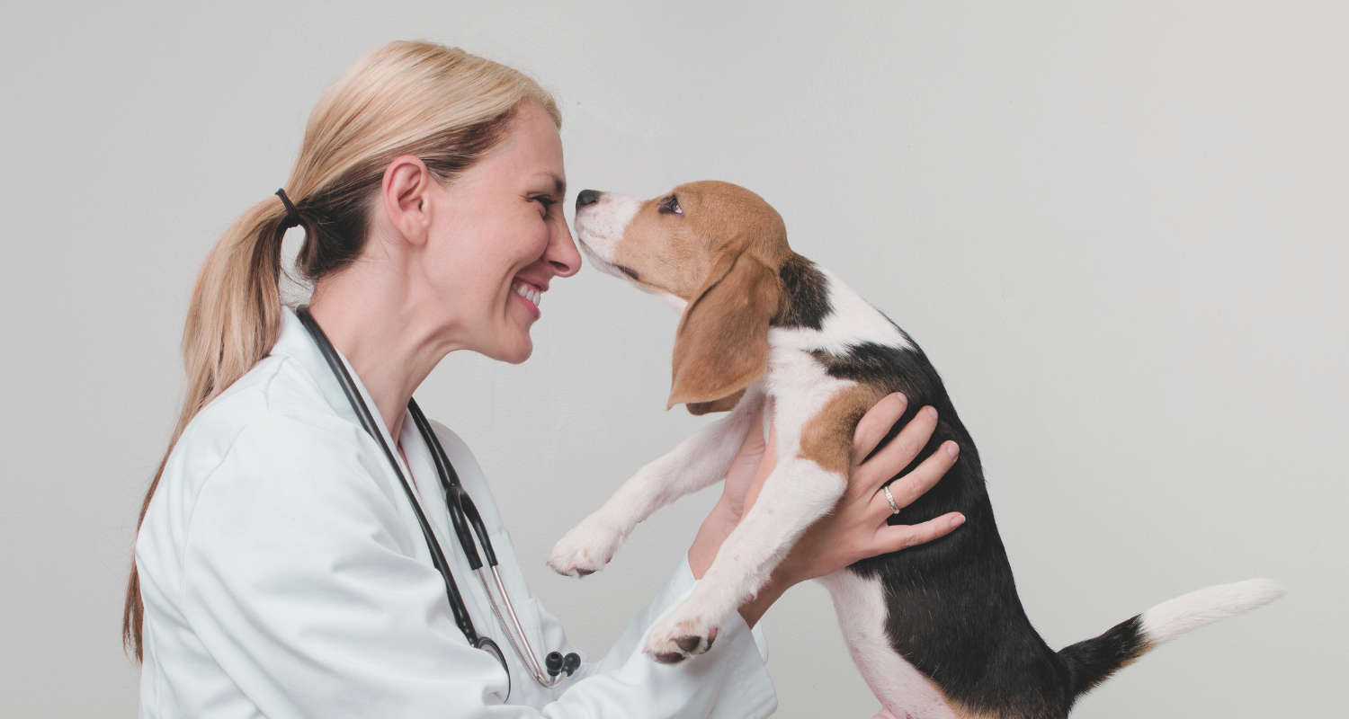 CUBEX Assessment - Cubex